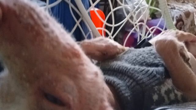 Макс отдыхает в люле