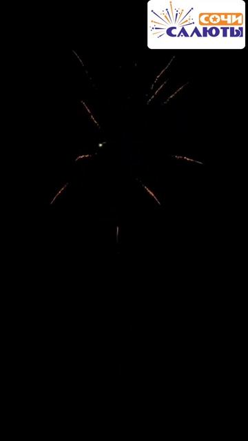 АБ7102 Салют Снегири (0,8"х25)