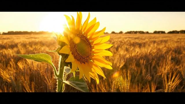 🌅⚡ УТРЕННИЙ ХИТ: Трек, который разбудит лучше будильника! ☕🔥