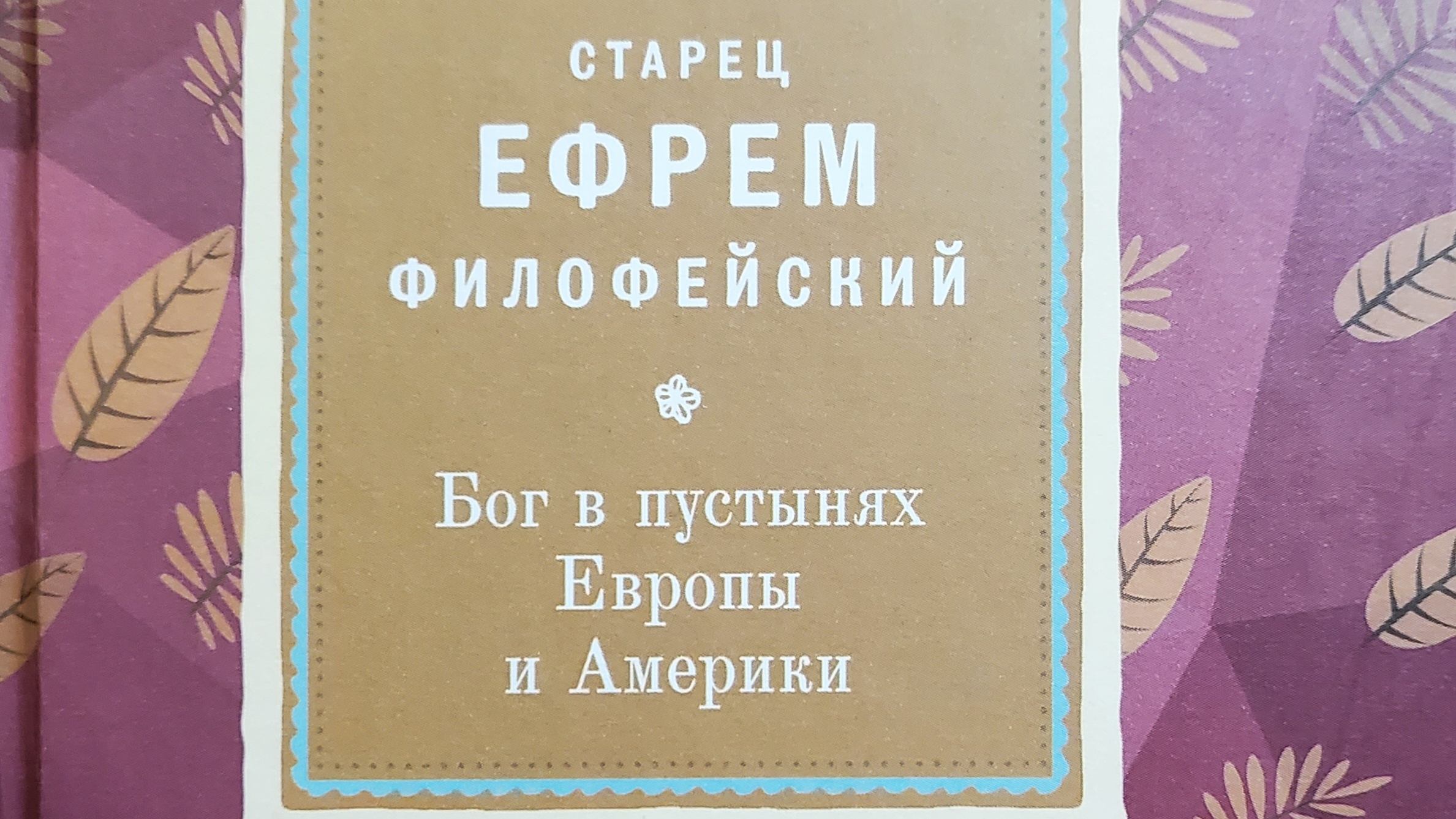 Автор: старец Ефрем Филофейский Книга: "Бог в пустынях  Европы и Америки."