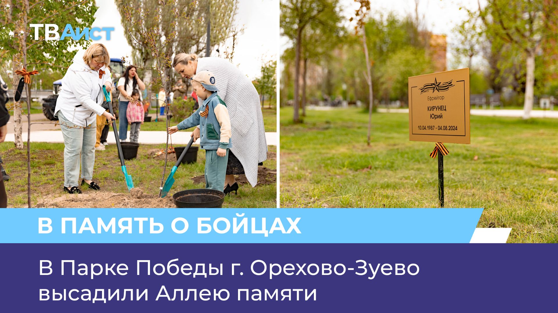 В Парке Победы г. Орехово-Зуево высадили Аллею памяти