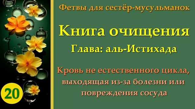 Фетвы (ответы) Учёных на вопросы мусульманок