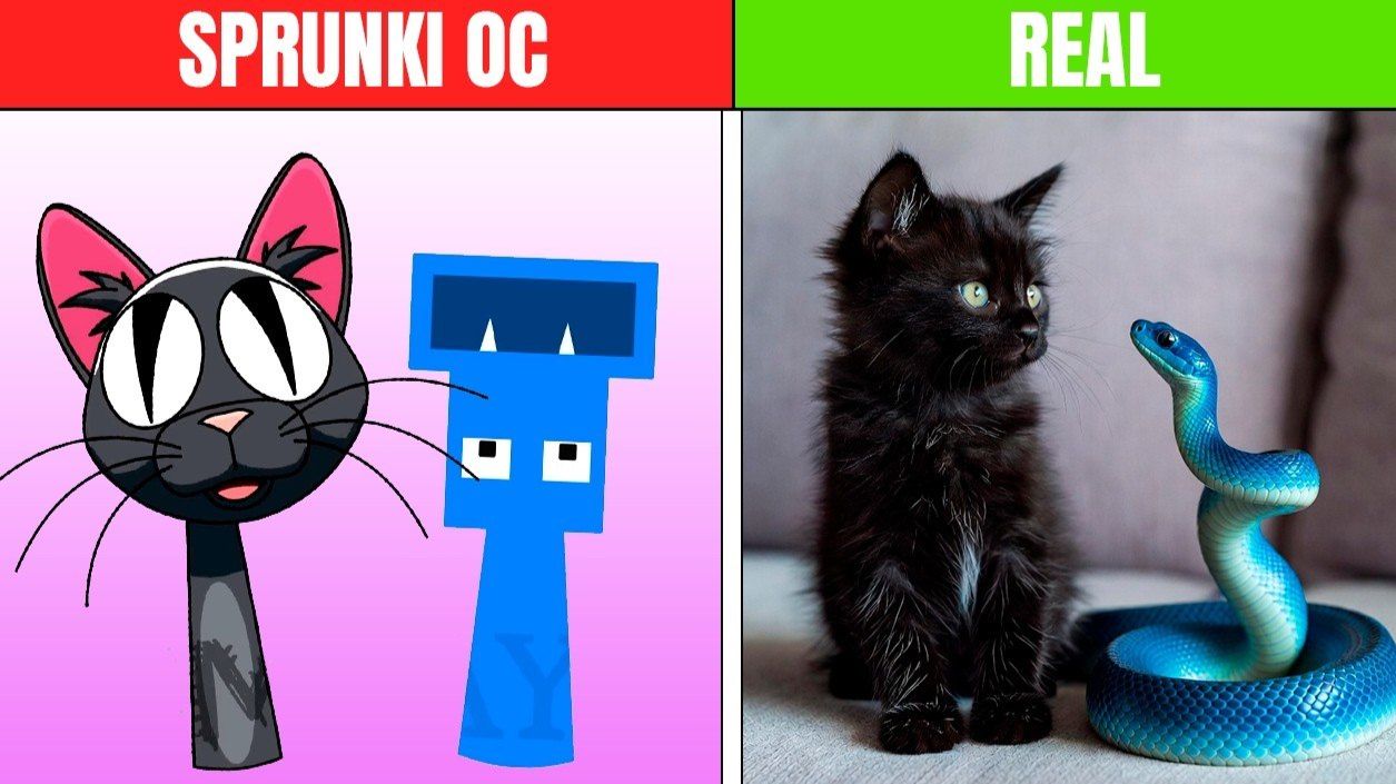СПРУНКИ ОС: КОТ ПРОТИВ ГОЛОДНОЙ ЗМЕИ В РЕАЛЬНОЙ ЖИЗНИ 🐍🆚😺