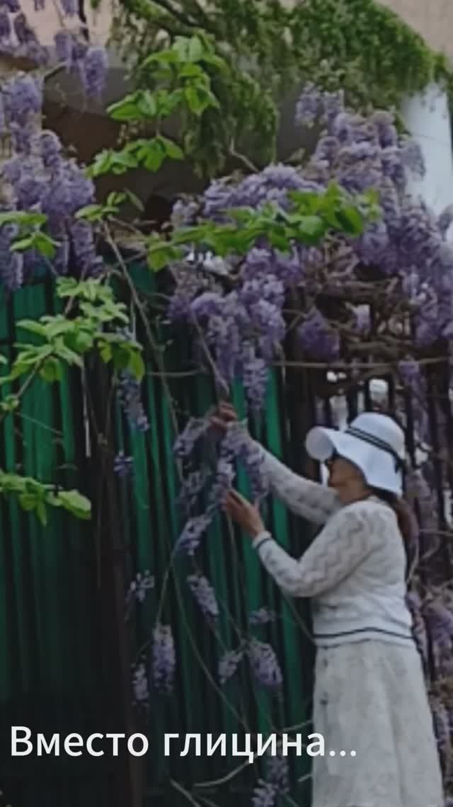 Перестала пить глицин после этого...