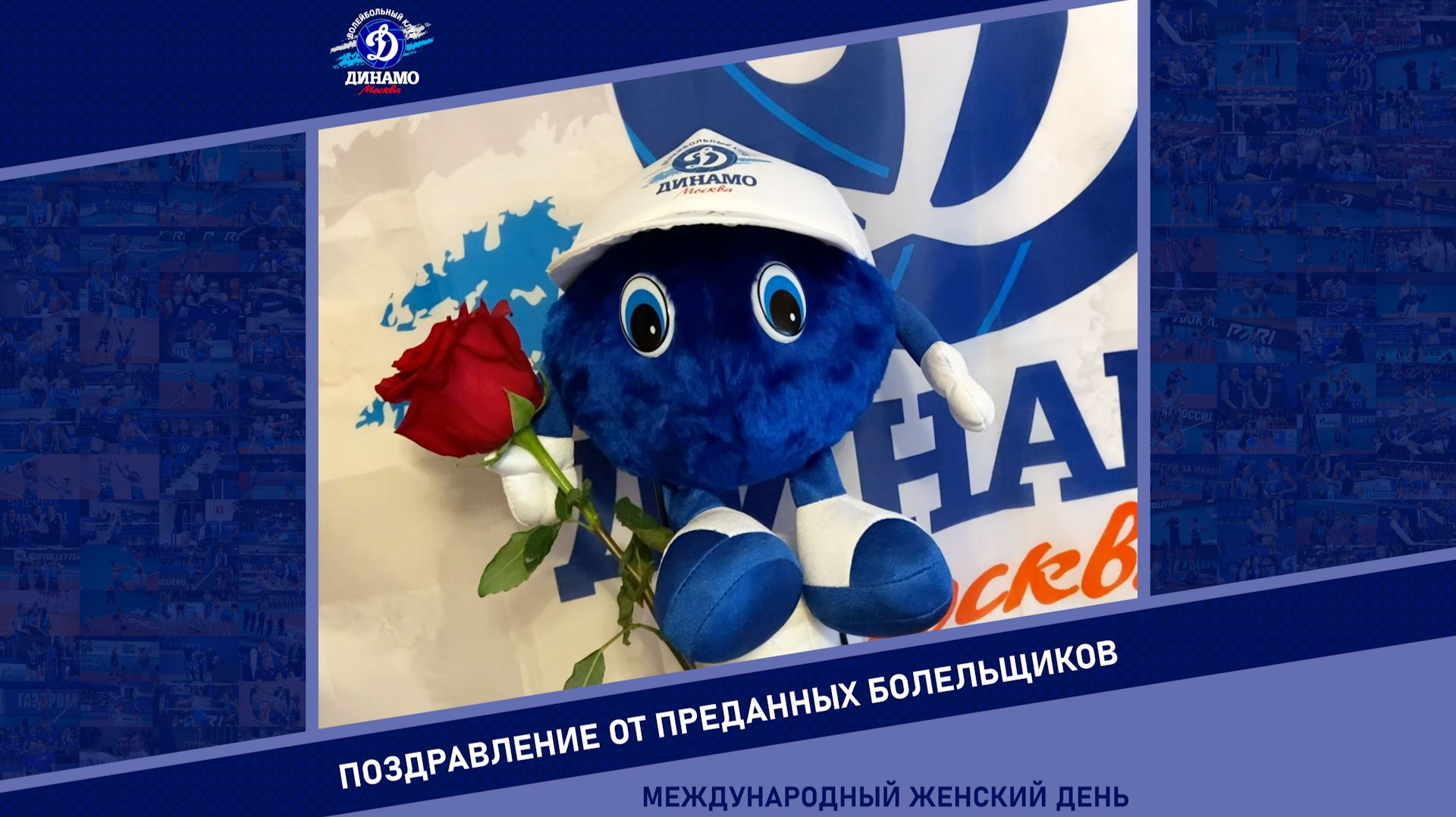 Видеопоздравление от наших преданных болельщиков
