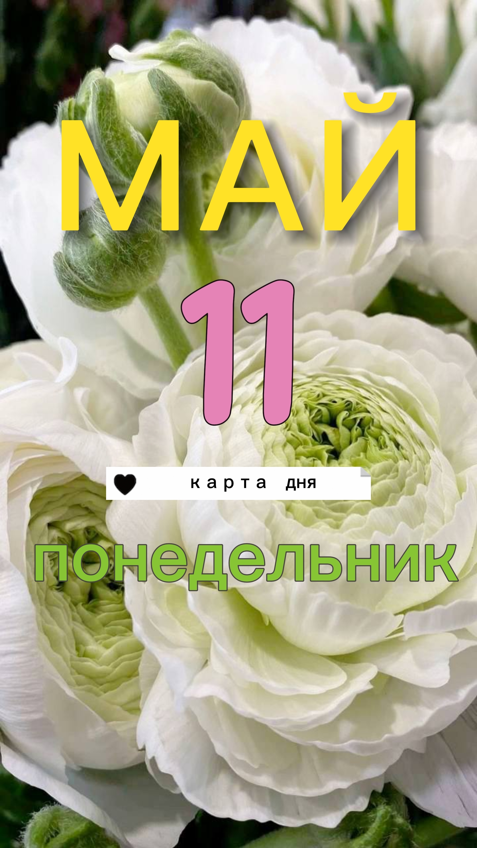 🧨5 Жезлов🧨Карта дня на 11-05-2026