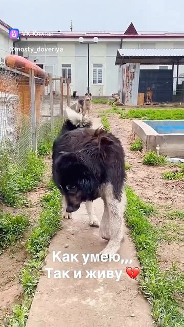 Ценность жизни не в её прямоте, а в её стойкости. 💖💖💖