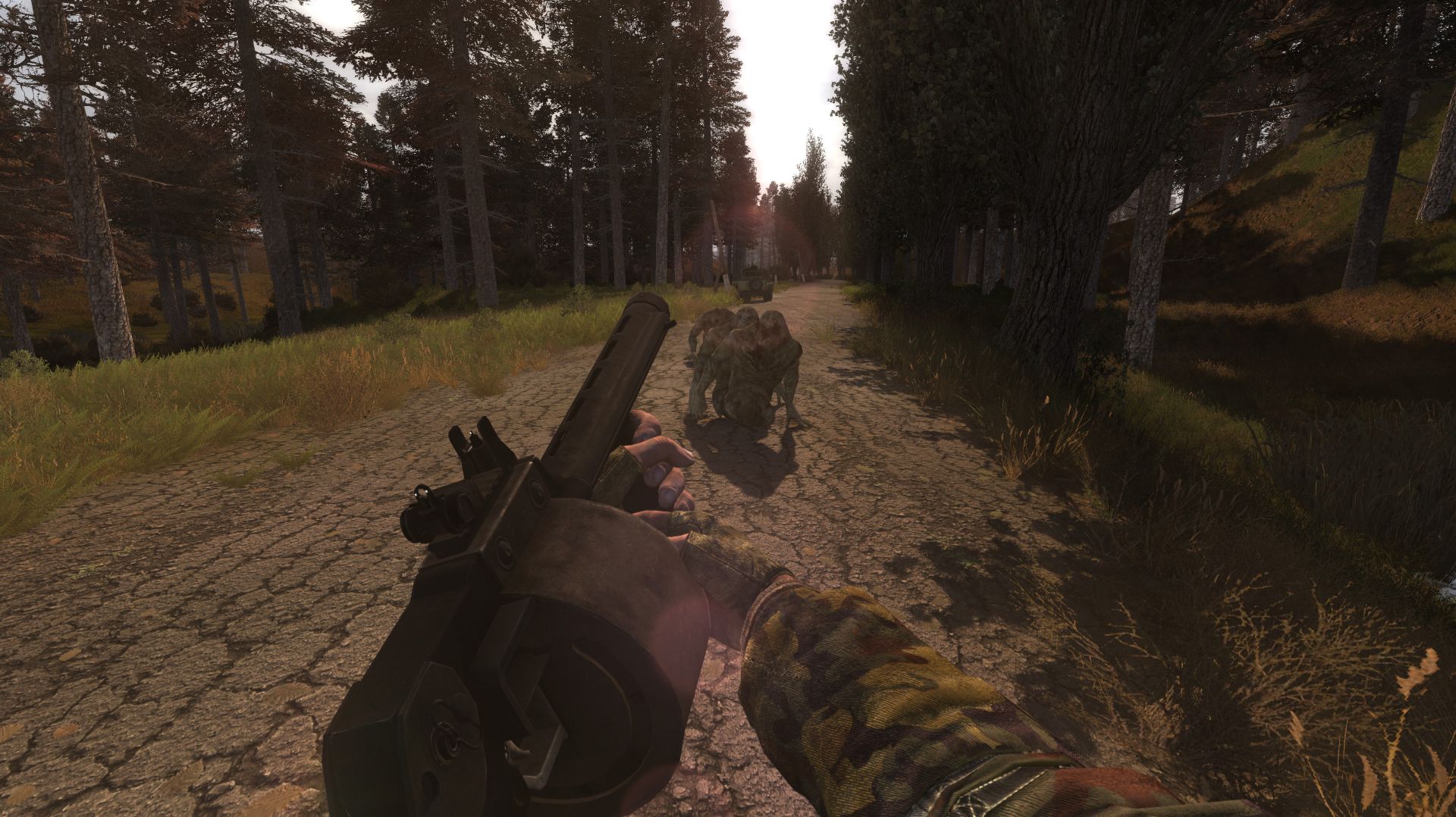 19 S.T.A.L.K.E.R. - Lost Alpha DC - 1.4007 - лес - артефакт генератор