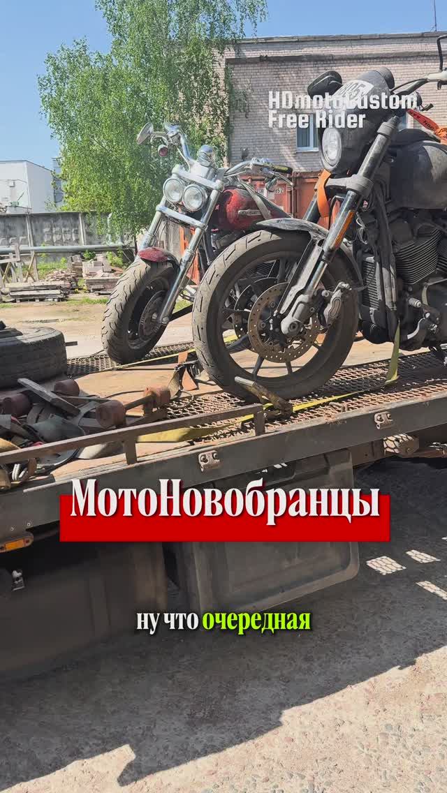 Два поколения Harley c аукционов Америки: Свежий Low Rider S 2023 и брутальный Fat Bob 2009