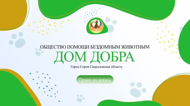 Приют для животных - Дом добра