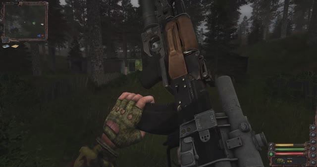 17 S.T.A.L.K.E.R. - Lost Alpha DC - 1.4007 - лес - пропавший торарищ