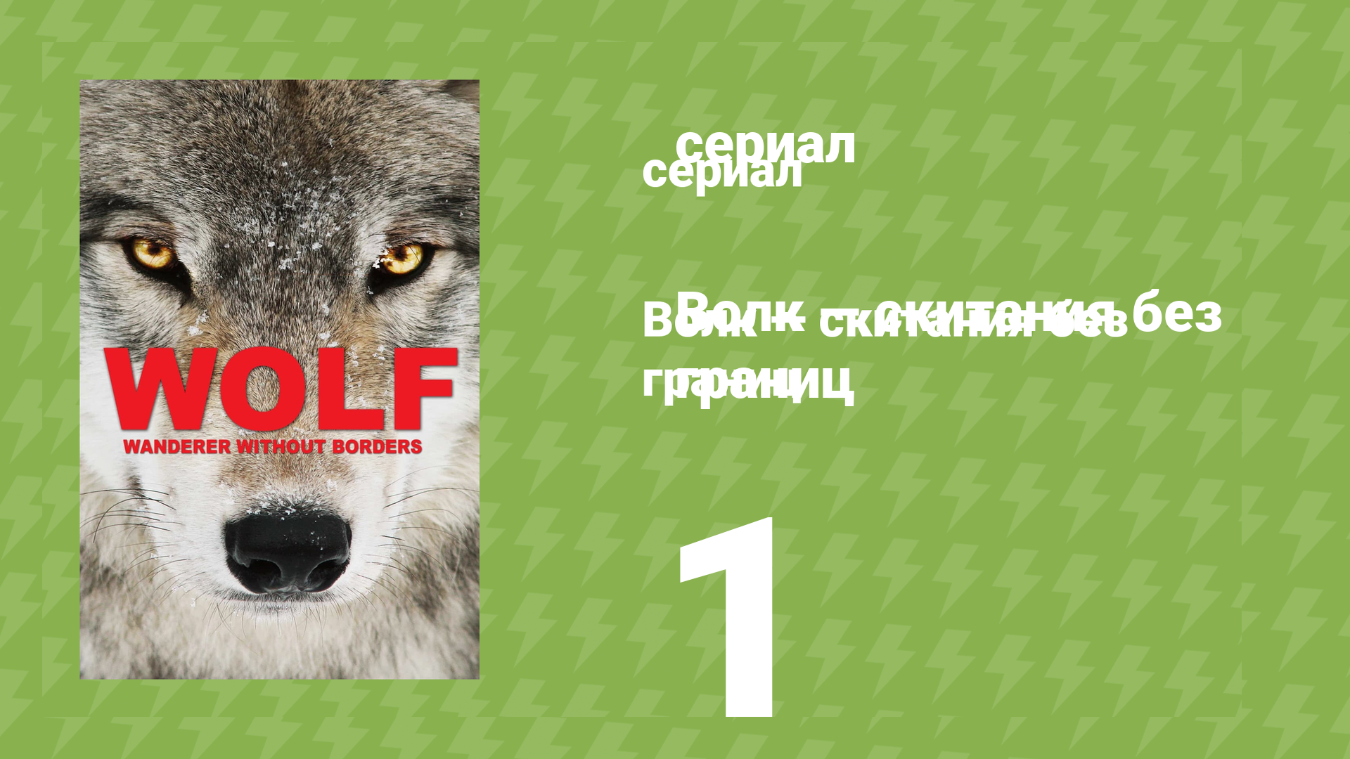 Волк — скитания без границ 1 серия (документальный сериал, 2022)