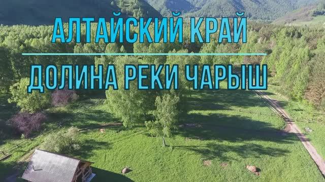 Алтайский край.  Долина реки  Чарыш. Июль, 2023г.   Любимые, родные места моего детства.