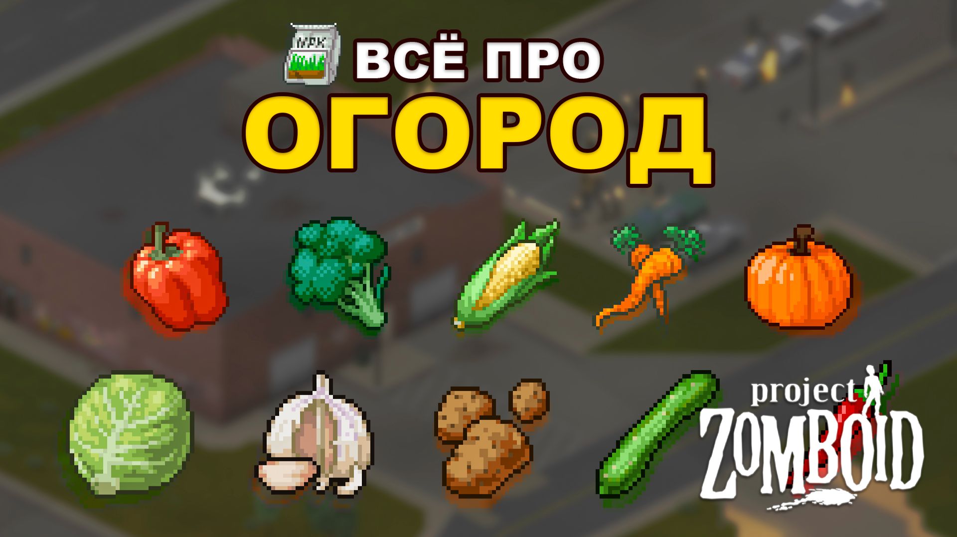Всё про Огород в Project Zomboid