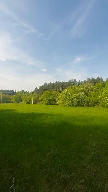 Майский день