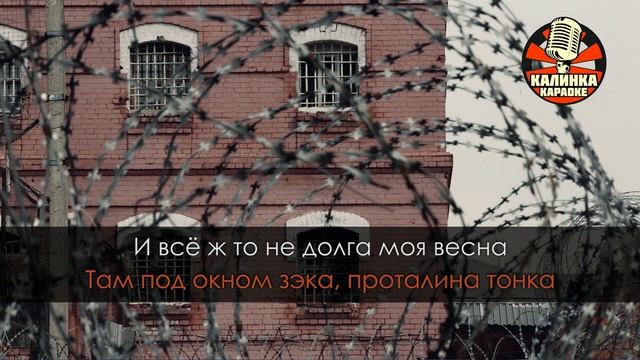Караоке Михаил Круг - Владимирский централ
