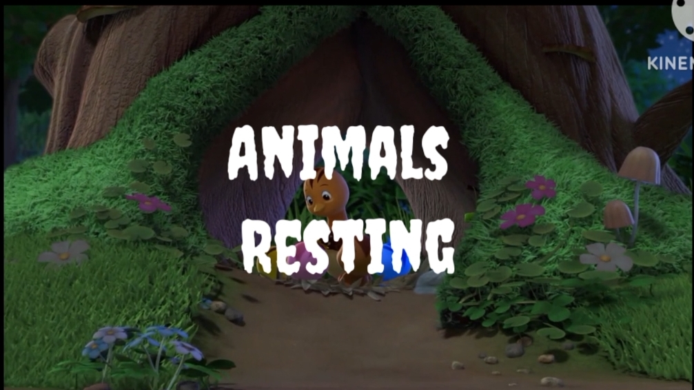 SO CUTE: Sleeping Animals