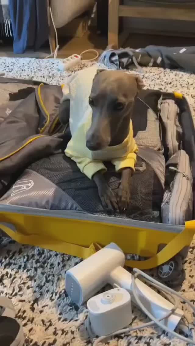 МЕНЯ НЕ ЗАБУДЬТЕ!