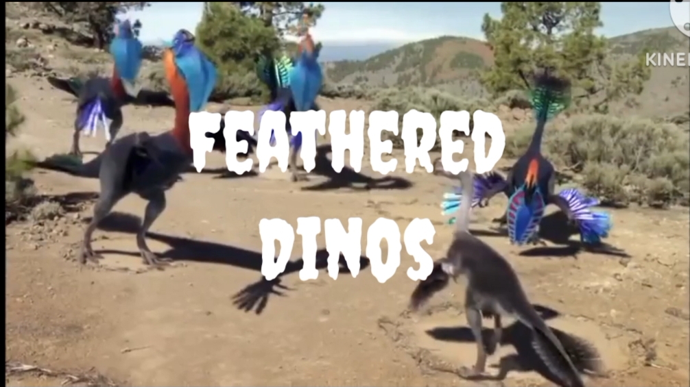 Feathered Dinosaurs: Bird Ancestors?!