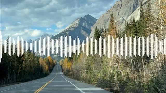 Scipovi - Roads