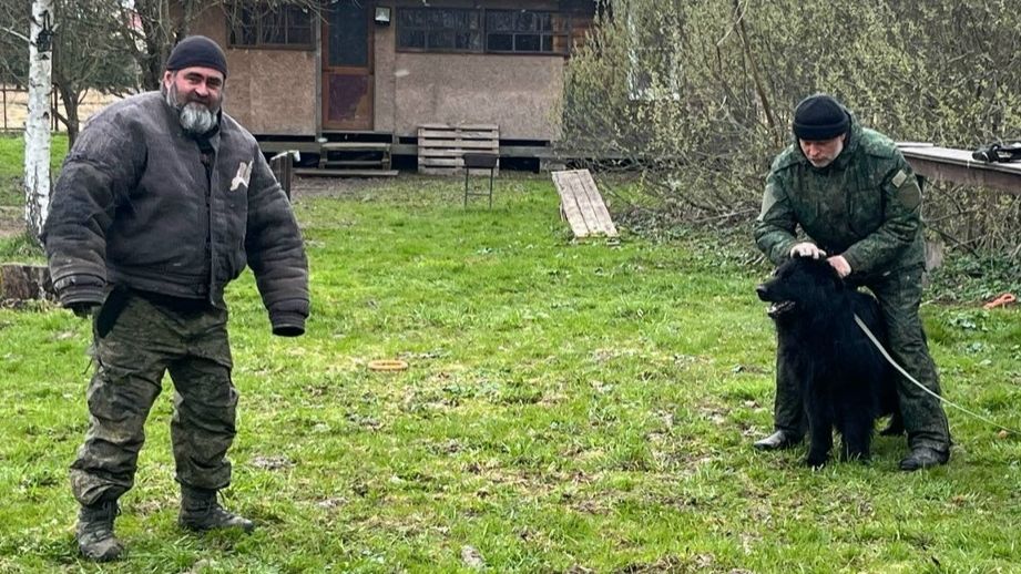 ЗКС. Защита Дома и Семьи