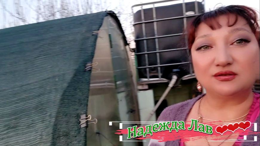 Участок готов к лету: лук посажен, теплица защищена, бассейн открыт! 🧅🔒🏊️☀️