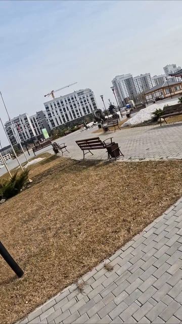 китайский дракон