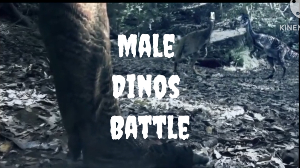 Only Dinosaurs Males Battle!