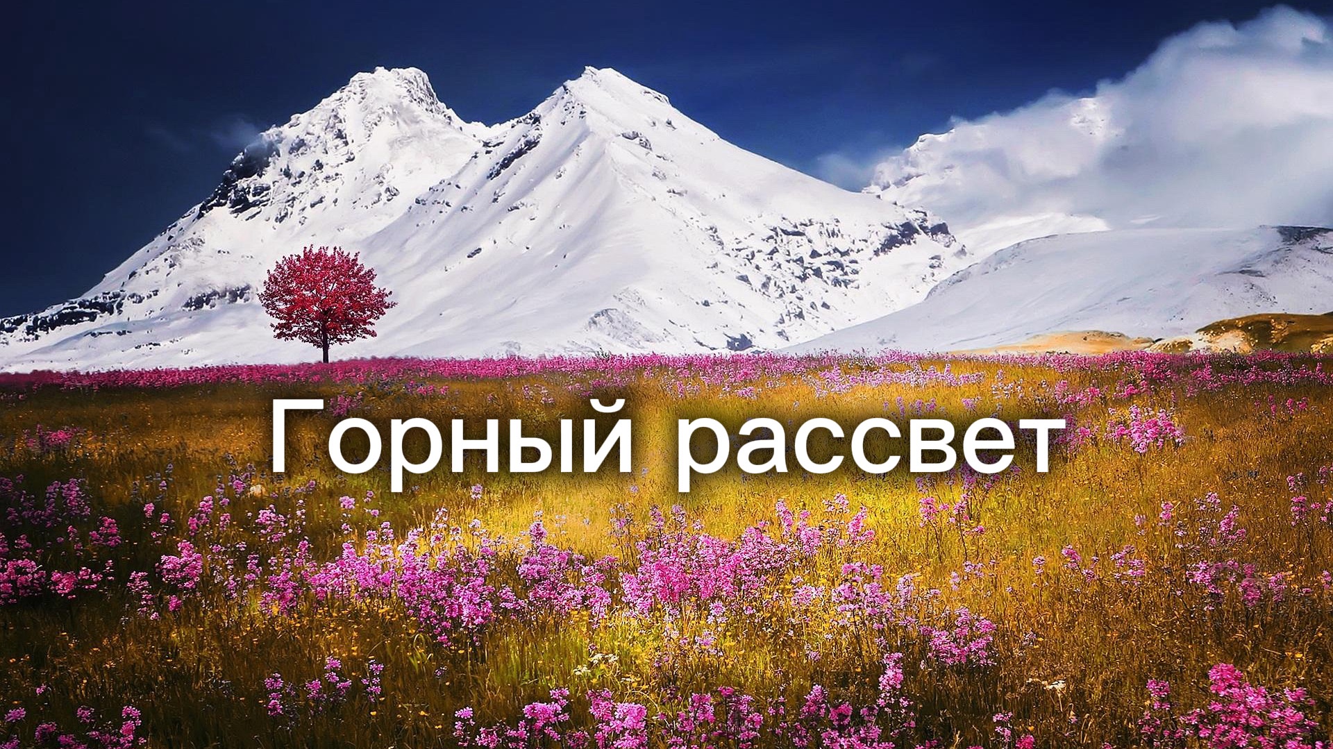 Горный рассвет🏔️ | Шум реки и атмосфера природы