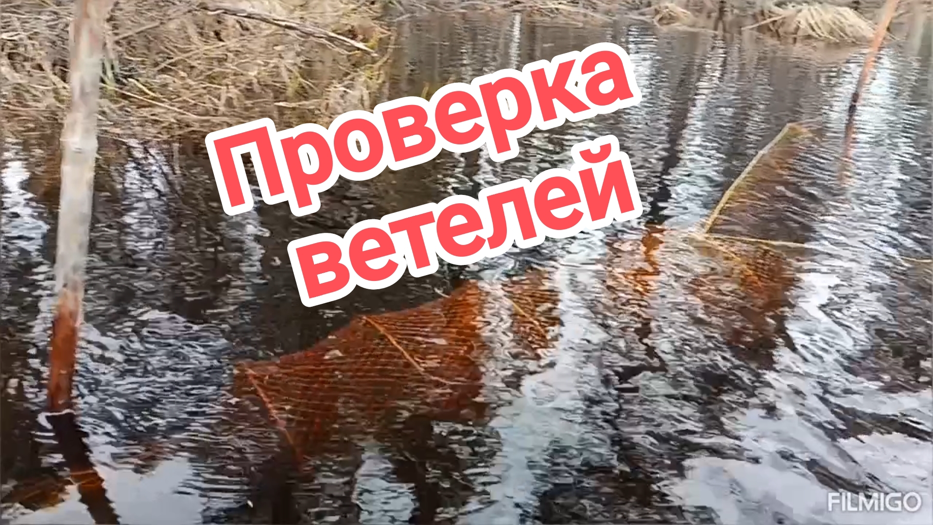 Проверка ветелей.