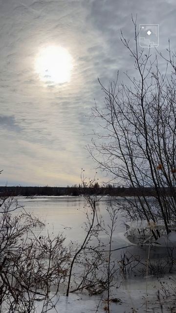 🌥️ Пасмурный день, умиротворение, тишина #крякаемоприроде #Сытыкан #Энекем