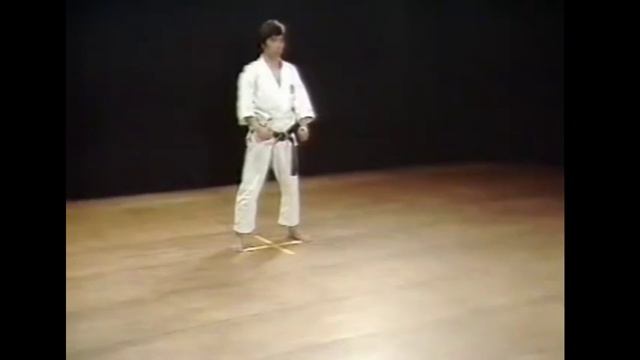 12 - Ката Хангэцу (Hangetsu) Шотокан Каратэ