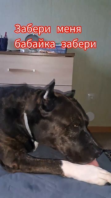 бабайка, забери😍