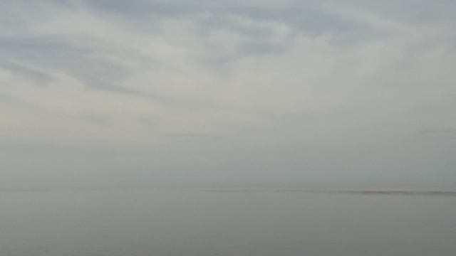 Дельфины в море у пляжа Sochifornia в Сириусе.