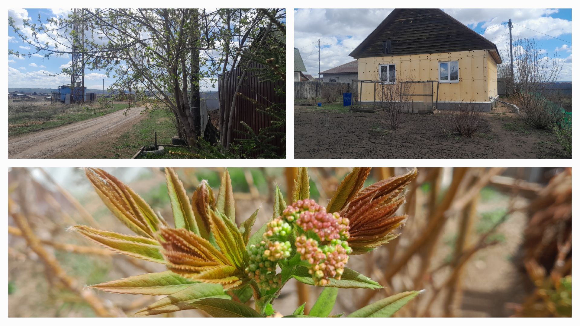 Сад🌳🌸готовится к❇️Лету/Мои🏘 деревенские🌱будни 11.05.2026/Борщ произведение искусства #рек #сад