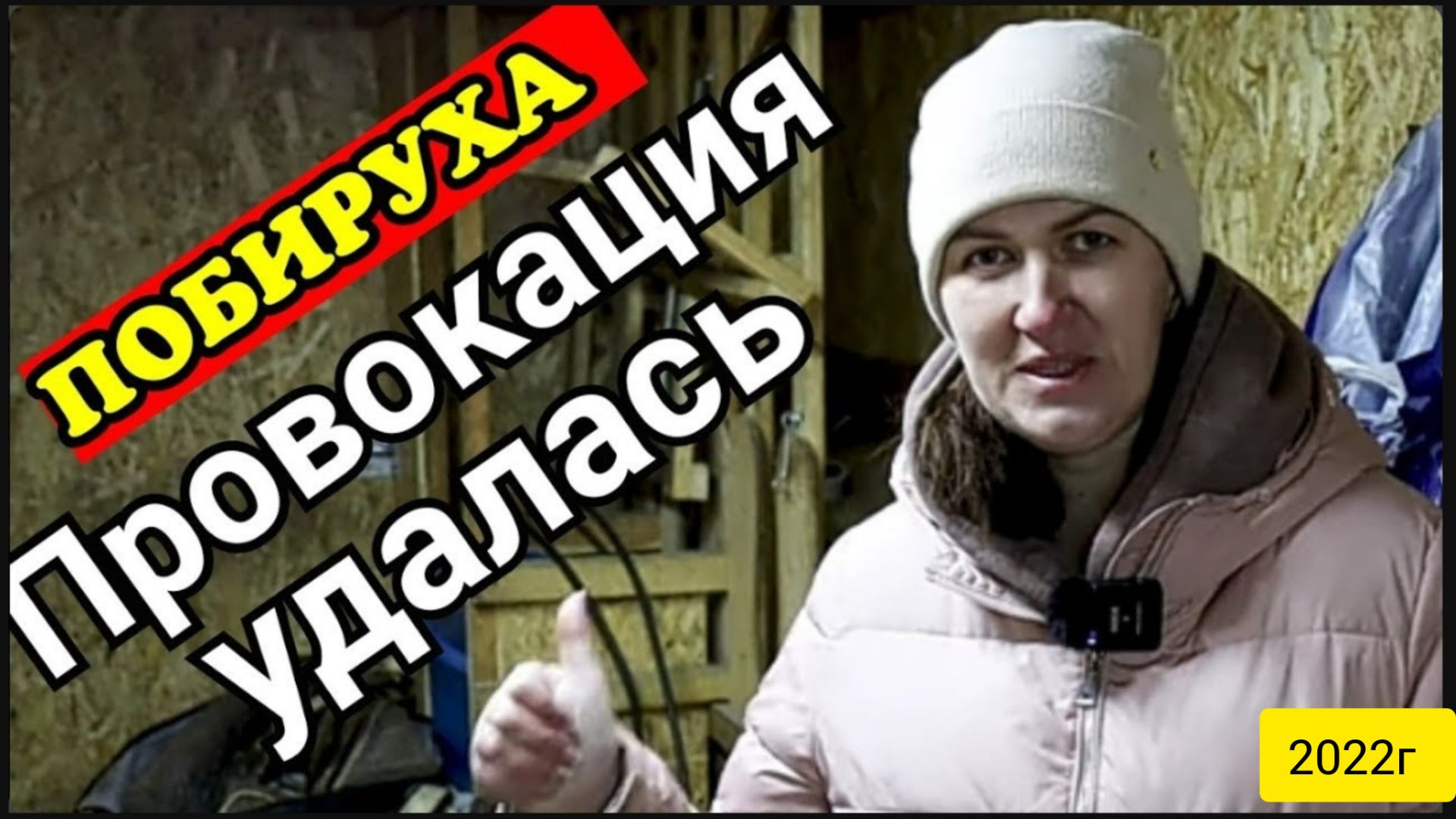 Деревенский дневник очень многодетной мамы _Провокация удалась _Обзор Влогов _Мать-героиня _