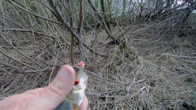 Рыбалка на реке Моша