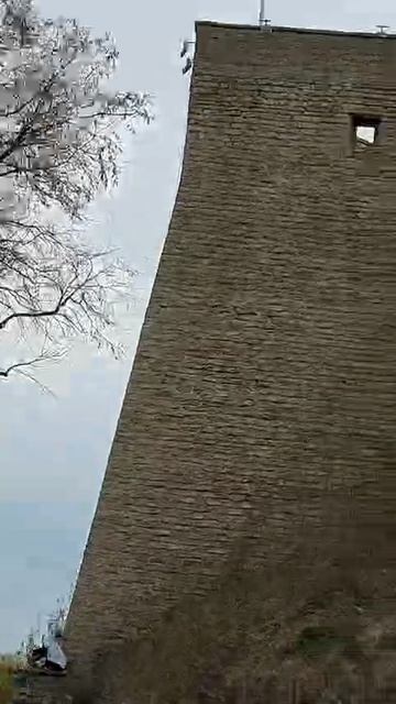 Как Эстония встретила День Победы