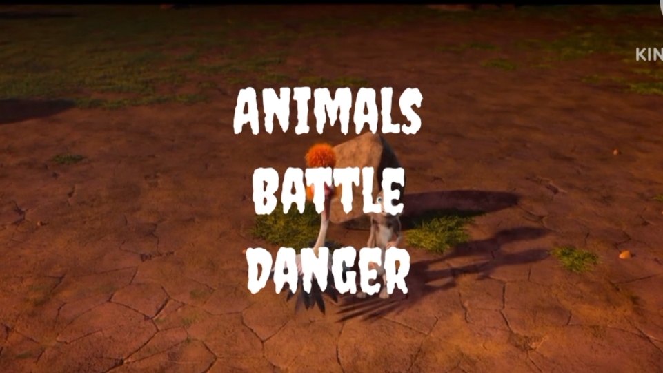 Animals From DANGER!!: Every day for Animals ever Winners!