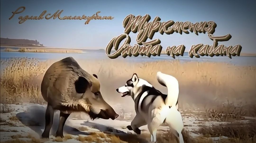 Туркмения. Охота на кабана с лайками. Пёс Амур.