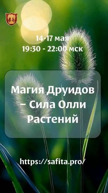 Погружение в стихию Жизнь: практики шаманов и друидов семинар онлайн
