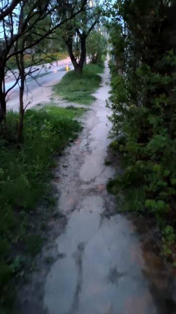 По дорожке