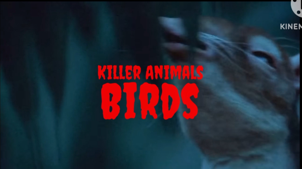 Killer Mammals Birds