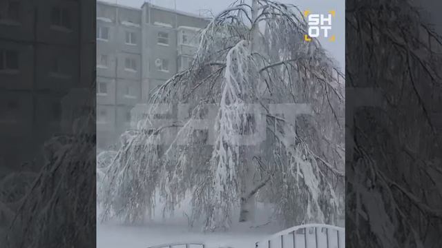 90-летний рекорд побит: ХМАО завалило снегом по колено