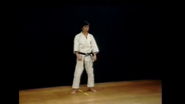 25 - Ката Годзюшихо-Дай (Gojushiho-Dai) Шотокан Каратэ