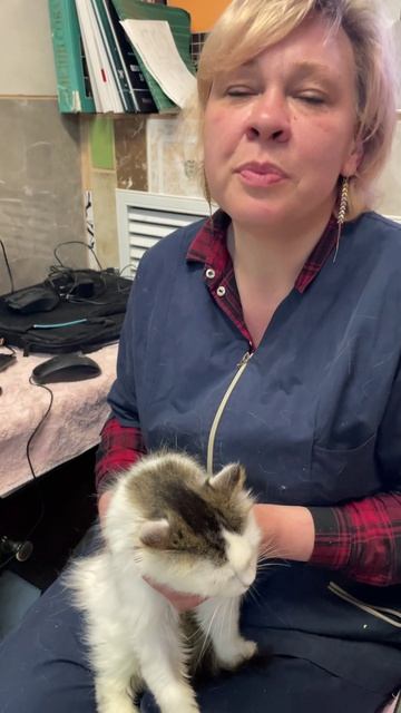 Фиона обрела дом: история выздоровления и новой жизни 😻