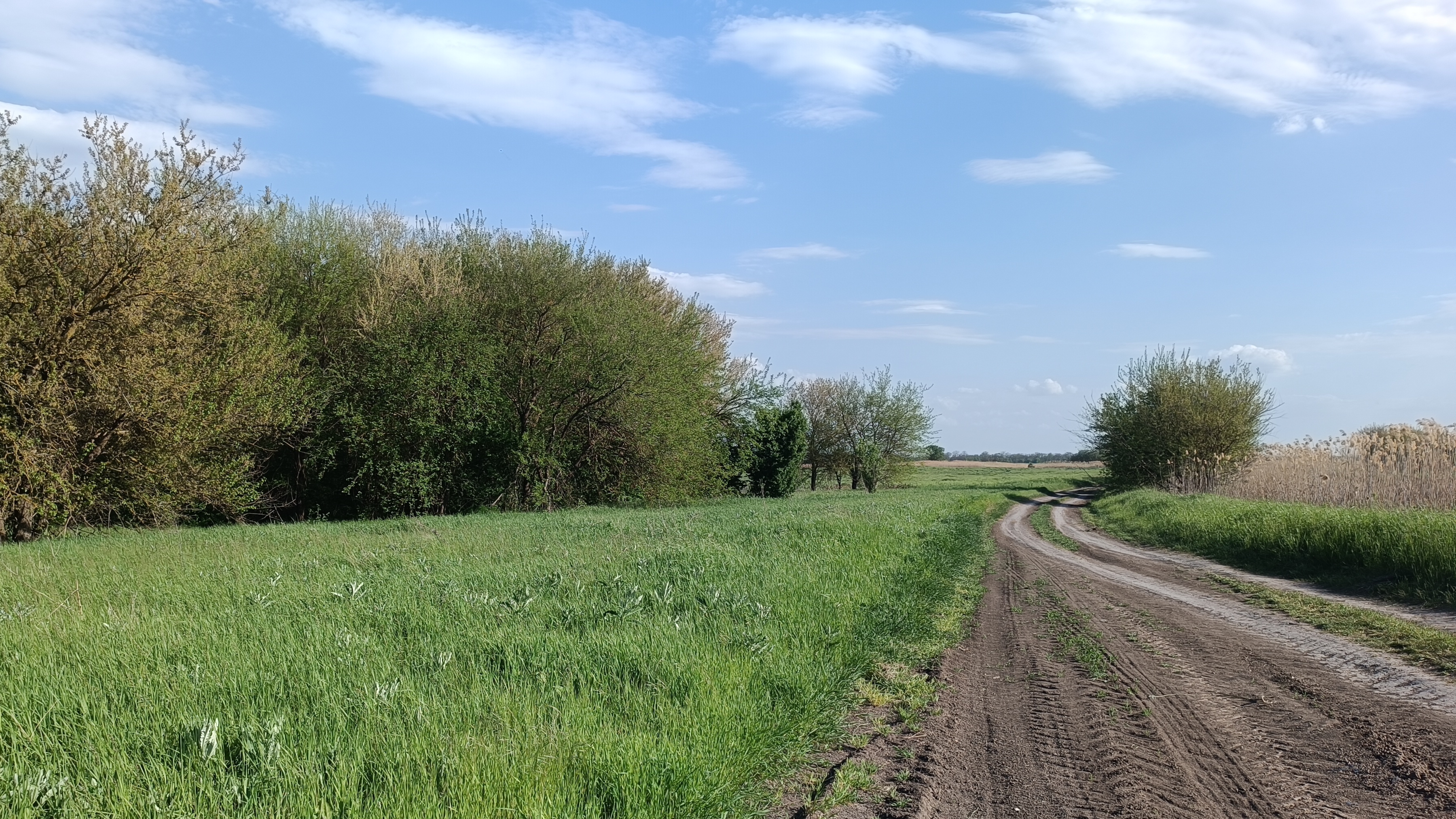 Пение птиц, природа Кубани весной! 10.05.2026г.
