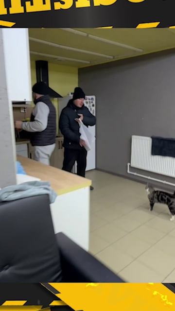 Утиль сбор на авто или второй месяц работы офиса Лиса Рулит и vklogistik в Санкт Петербурге