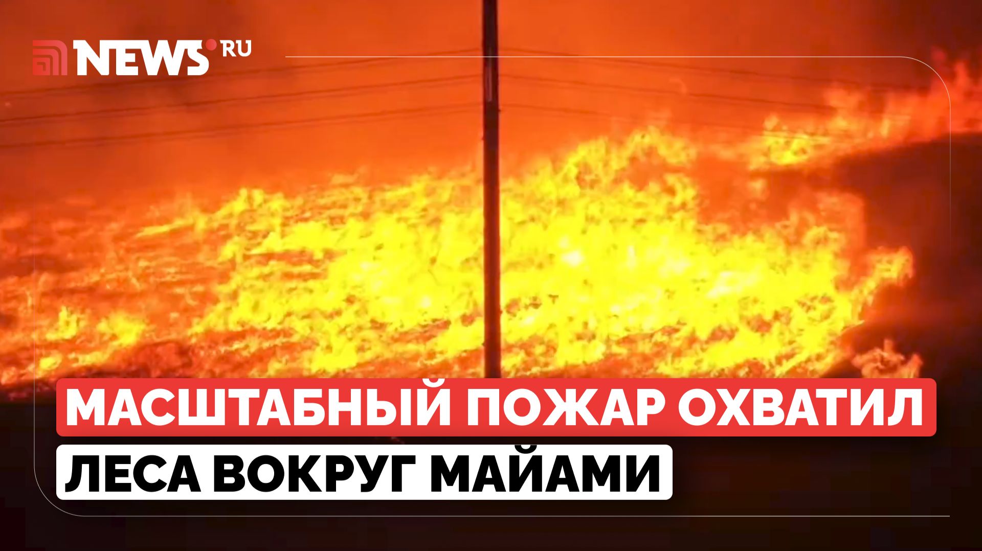 Стена огня: мощный пожар уничтожает леса в США