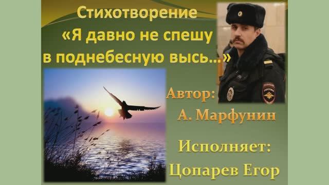Стихотворение "Я давно не спешу в поднебесную высь...", автор: А. Марфунин, читает: Цопарев Е.